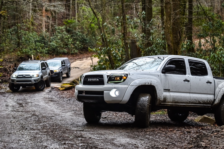 7 Off-Road Trails & Areas To Explore In Tennessee